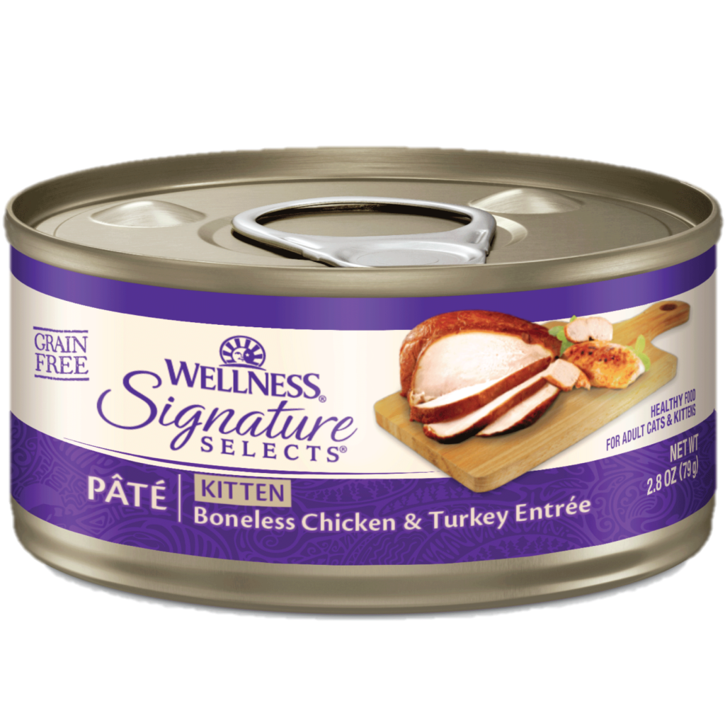 Siamese_Kitten | Wellness Pet Food Taiwan